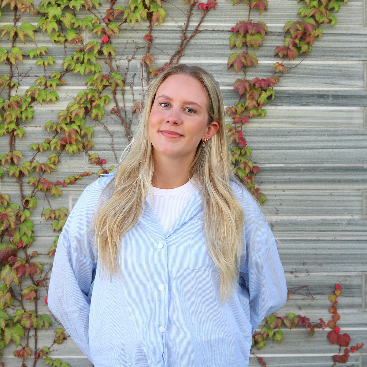 Summer Internship - Statsbygg